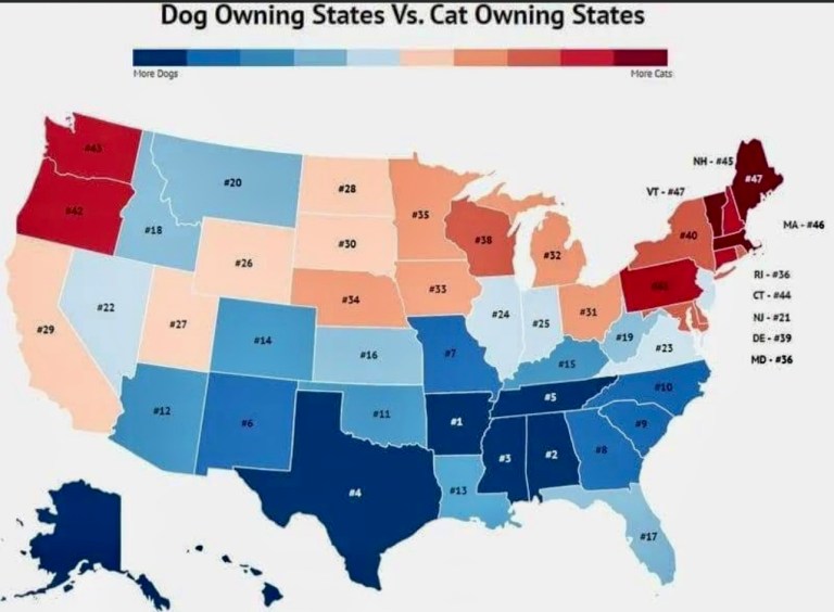 Maps | River's world…..