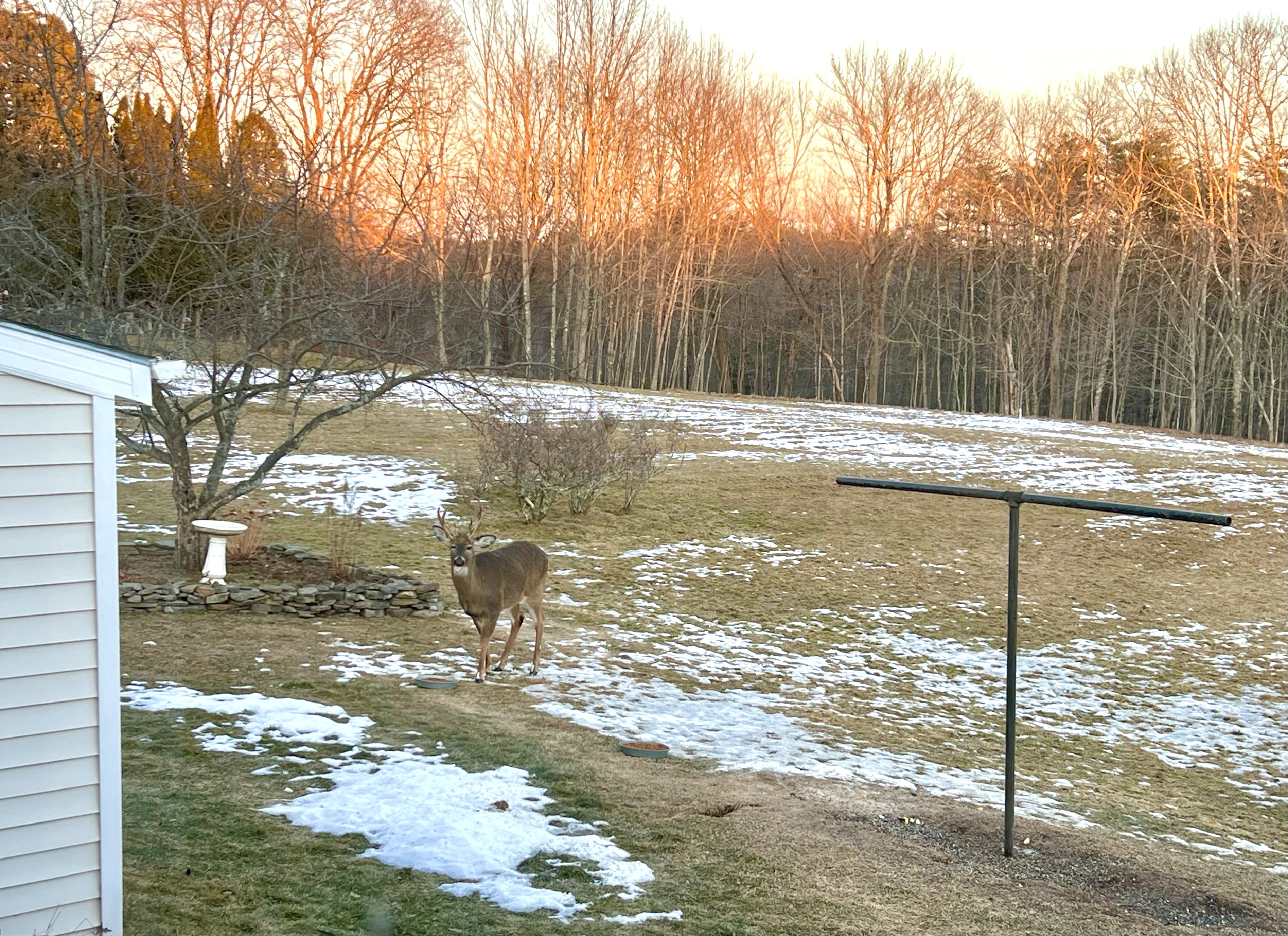 Smile, and the world smiles with you. | River's world…..