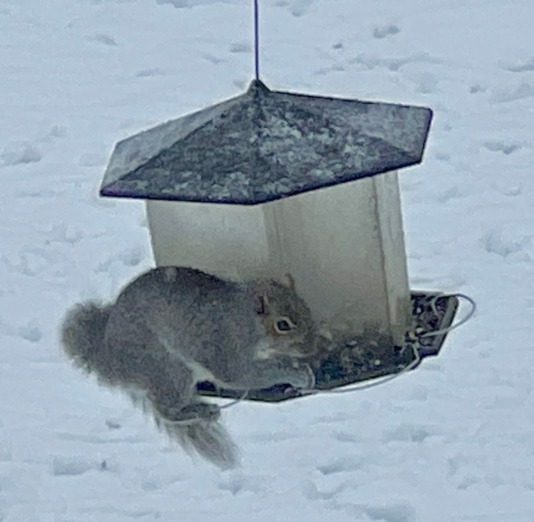 Impressive core work and the first chuck sighting. | River's world…..